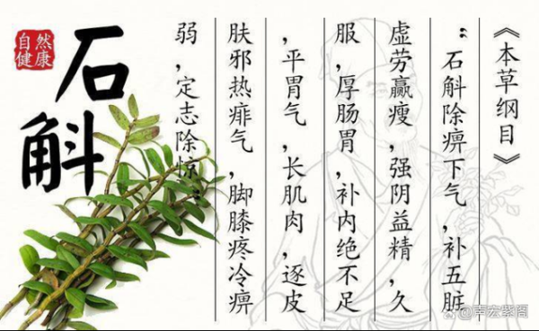 铁皮枫斗怎么吃最好_铁皮枫斗的正确吃法-第1张图片-山城妙识