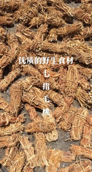七指毛桃的功效与作用_七指毛桃怎么吃效果最好-第3张图片-山城妙识