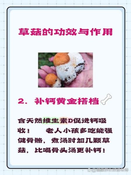 草菇没有焯水吗_可以直接炒吗-第3张图片-山城妙识 草菇没有焯水吗_可以直接炒吗-第3张图片-山城妙识