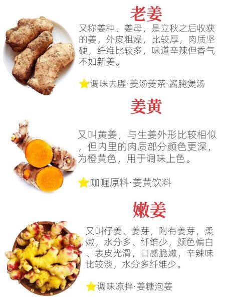 良姜和干姜的区别_良姜可以代替干姜吗-第3张图片-山城妙识 良姜和干姜的区别_良姜可以代替干姜吗-第3张图片-山城妙识