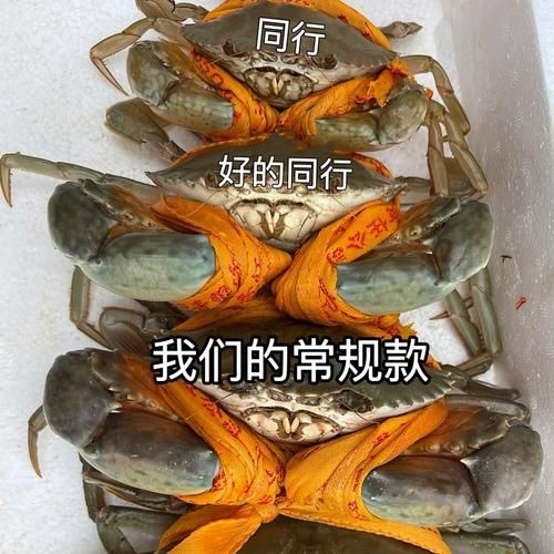 青蟹和大闸蟹哪个贵_价格差异原因-第1张图片-山城妙识
