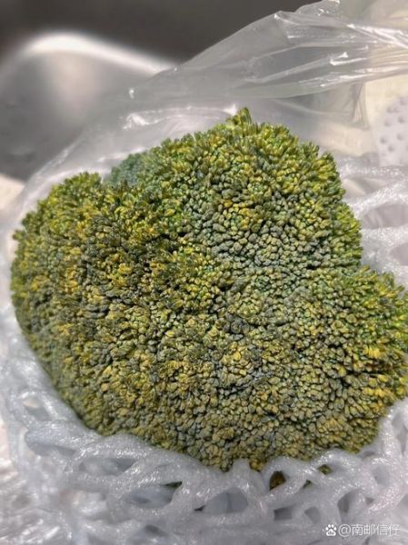 西兰花变黄脱籽还能吃吗_西兰花变黄脱籽怎么处理-第2张图片-山城妙识