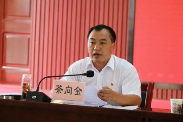 茶向金是什么茶_茶向金2021价格多少钱-第1张图片-山城妙识