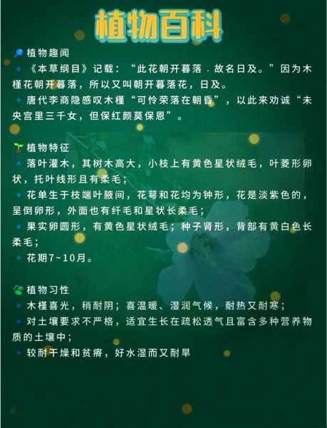 木槿什么时候开花_木槿花语是什么-第1张图片-山城妙识