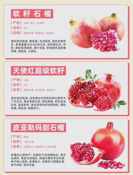 石榴的营养成分有哪些_石榴的功效与作用-第2张图片-山城妙识