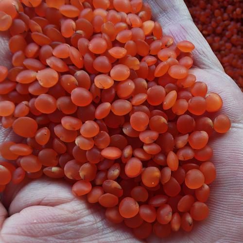 红小扁豆怎么煮_红小扁豆可以怎么吃-第1张图片-山城妙识 红小扁豆怎么煮_红小扁豆可以怎么吃-第1张图片-山城妙识