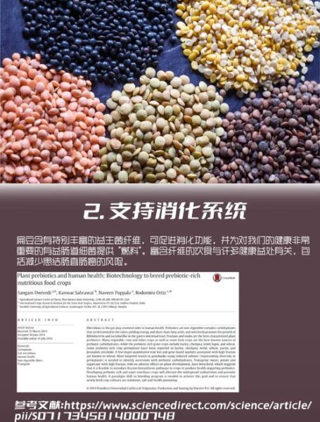 红小扁豆怎么煮_红小扁豆可以怎么吃-第2张图片-山城妙识 红小扁豆怎么煮_红小扁豆可以怎么吃-第2张图片-山城妙识