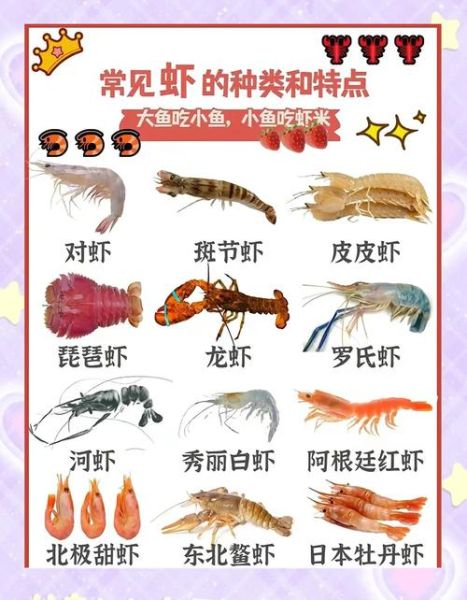 海虾和淡水虾的区别_哪个更好吃-第1张图片-山城妙识 海虾和淡水虾的区别_哪个更好吃-第1张图片-山城妙识
