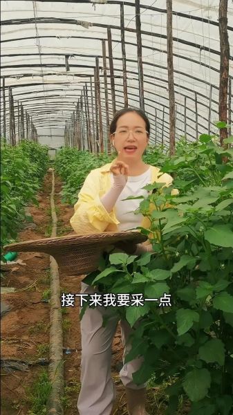 菜花叶子怎么做好吃_菜花叶子做法大全-第1张图片-山城妙识 菜花叶子怎么做好吃_菜花叶子做法大全-第1张图片-山城妙识