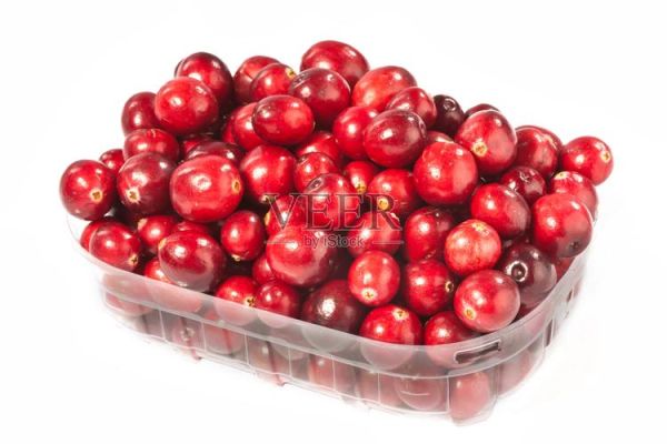 蔓越莓图片大全_如何挑选高清素材-第3张图片-山城妙识