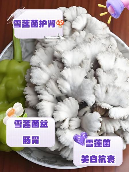 雪莲菌酸奶的坏处有哪些_长期喝雪莲菌酸奶的危害-第3张图片-山城妙识