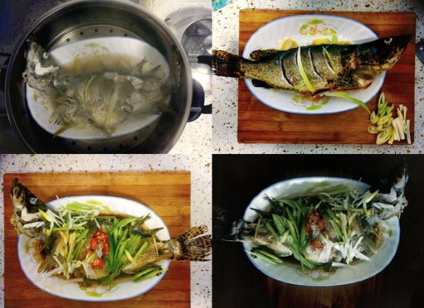 鳌花鱼多少钱一斤_鳌花鱼怎么做好吃-第2张图片-山城妙识