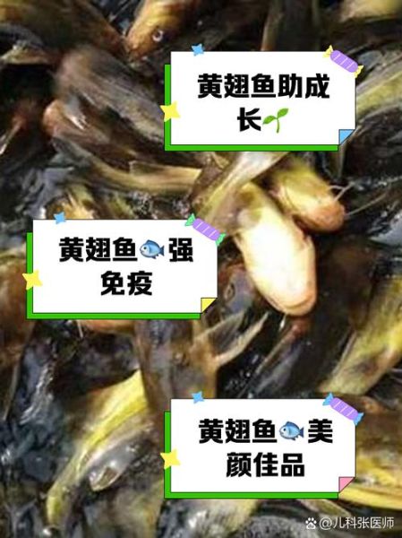 黄蜂鱼和黄骨鱼的区别_哪个更好吃-第3张图片-山城妙识