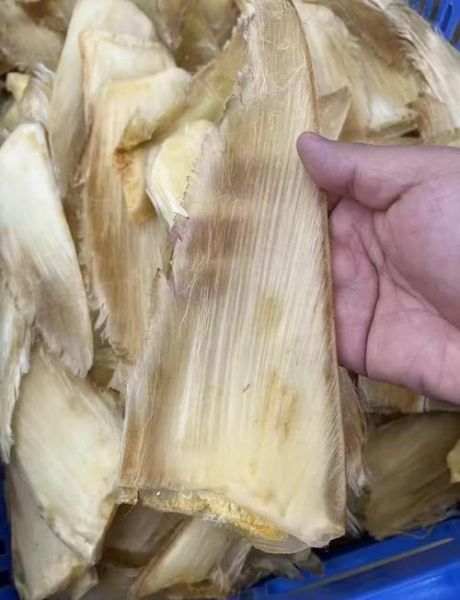 鱼翅什么人不能吃_孕妇能吃鱼翅吗-第2张图片-山城妙识