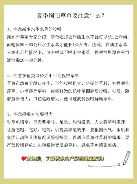 草鱼养殖技术_如何提高草鱼成活率-第2张图片-山城妙识