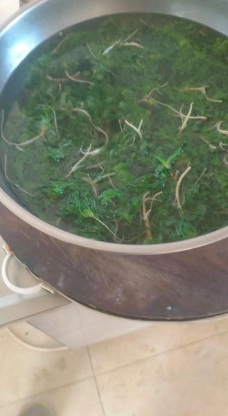 炒荠菜怎么炒好吃_荠菜的家常做法大全-第3张图片-山城妙识