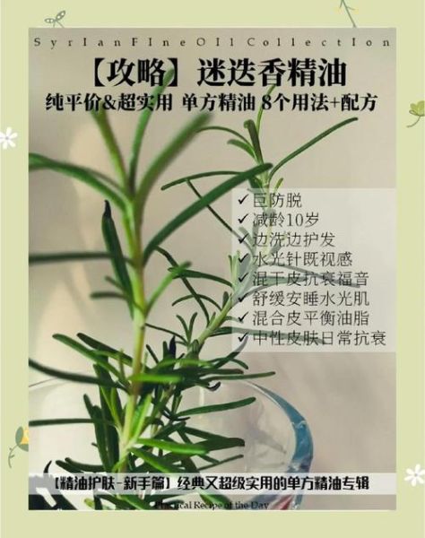 迷迭香精油护发有用吗_迷迭香精油怎么用在头发上-第3张图片-山城妙识