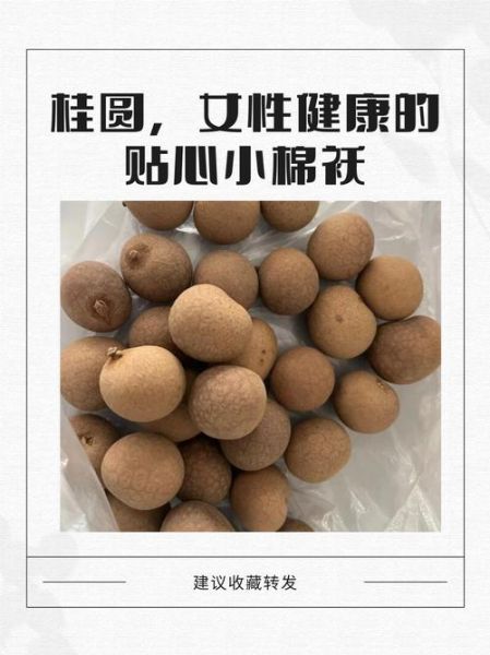 女人常吃桂圆肉的功效_女人吃桂圆肉会上火吗-第1张图片-山城妙识