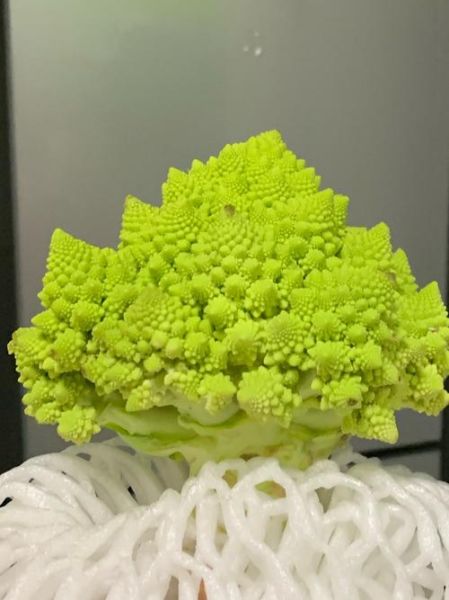 塔花菜怎么做好吃_塔花菜的家常做法大全-第1张图片-山城妙识