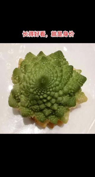 塔花菜怎么做好吃_塔花菜的家常做法大全-第2张图片-山城妙识