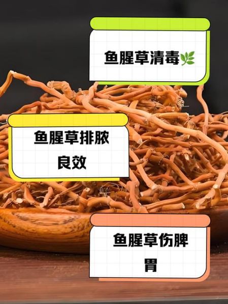 吃鱼腥草的危害_鱼腥草副作用有哪些-第1张图片-山城妙识