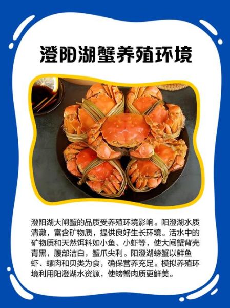 成都阳澄湖大闸蟹多少钱一只_正宗阳澄湖大闸蟹成都哪里买-第3张图片-山城妙识
