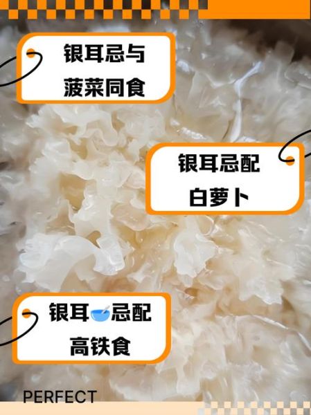 银耳禁忌人群_银耳不能和什么一起吃-第3张图片-山城妙识 银耳禁忌人群_银耳不能和什么一起吃-第3张图片-山城妙识
