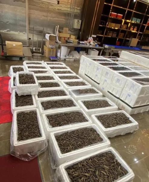 野生干海参多少钱一斤_野生干海参价格表-第3张图片-山城妙识