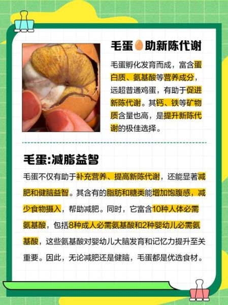 吃毛蛋的好处和危害有哪些_孕妇能吃毛蛋吗-第1张图片-山城妙识