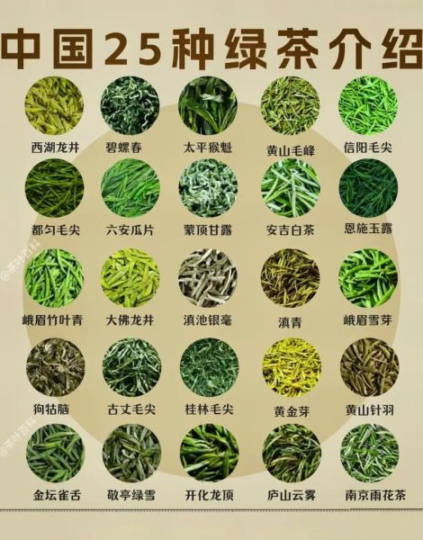 绿茶有哪些品种_绿茶哪个品种好喝-第1张图片-山城妙识