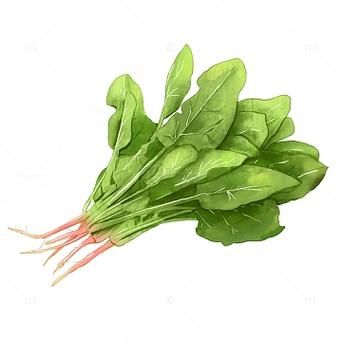 菠菜简笔画怎么画_菠菜简笔画步骤图-第3张图片-山城妙识