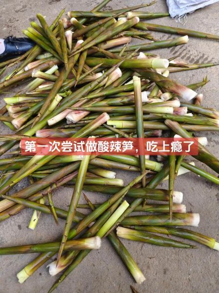 小细竹笋怎么做好吃_小竹笋的家常做法-第1张图片-山城妙识