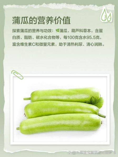蒲瓜的功效与作用禁忌_蒲瓜什么人不能吃-第1张图片-山城妙识