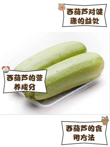 蒲瓜的功效与作用禁忌_蒲瓜什么人不能吃-第3张图片-山城妙识