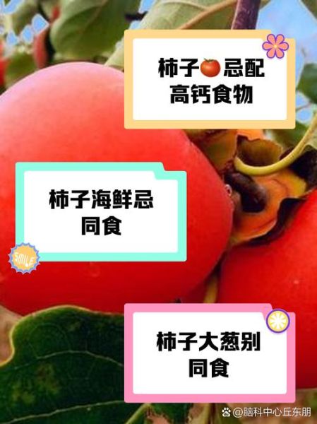 柿子不能和什么水果一起吃_柿子相克水果有哪些-第1张图片-山城妙识