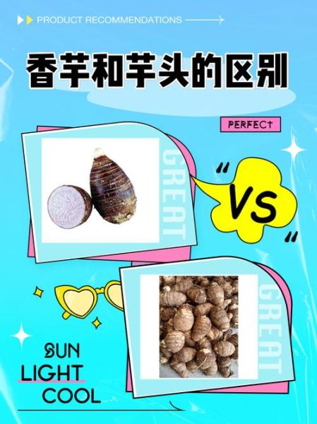 香芋和芋头怎么辨别_香芋和芋头的区别-第1张图片-山城妙识