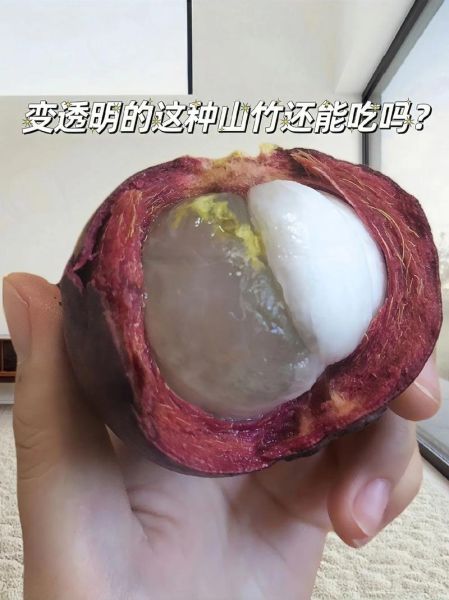 山竹果肉变透明还能吃吗_山竹果肉变透明的原因-第1张图片-山城妙识