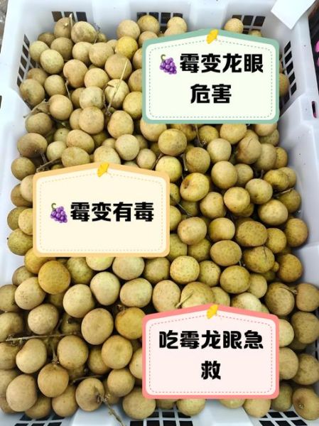 龙眼吃多了会怎么样_龙眼一天吃多少合适-第2张图片-山城妙识