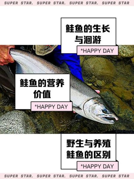 鲑鱼怎么做好吃_鲑鱼营养价值有哪些-第2张图片-山城妙识