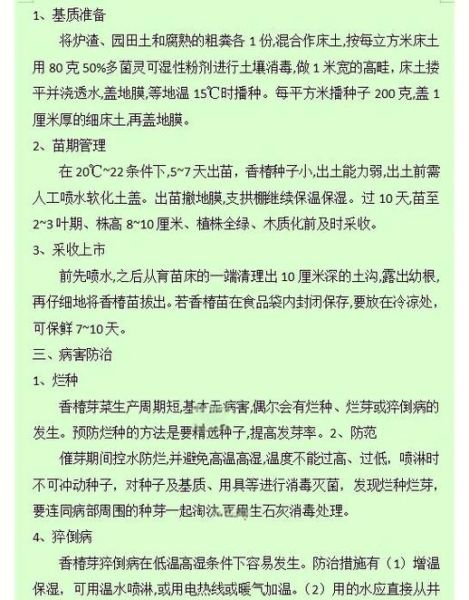 香椿芽苗菜怎么种_香椿芽苗菜种植方法-第1张图片-山城妙识