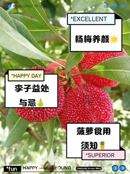 酸性水果有哪些_酸性水果吃了会胃酸过多吗-第2张图片-山城妙识