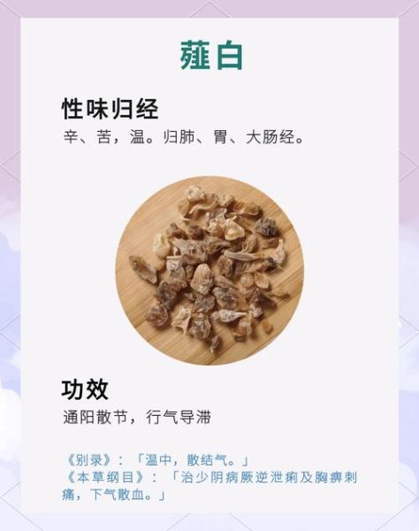 薤白的功效与作用_薤白怎么吃效果最好-第1张图片-山城妙识