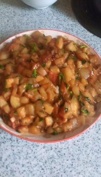 西红柿炖茄子的家常做法_西红柿炖茄子怎么做才好吃-第1张图片-山城妙识