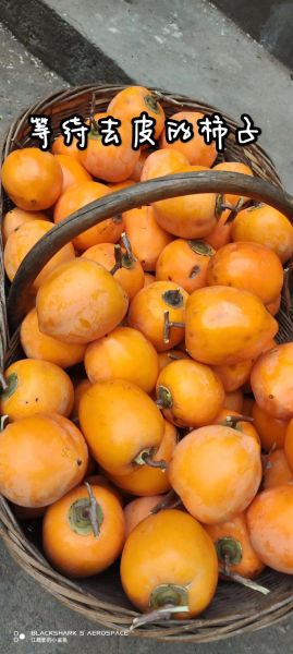 柿子怎么做成柿饼_柿饼制作方法-第3张图片-山城妙识