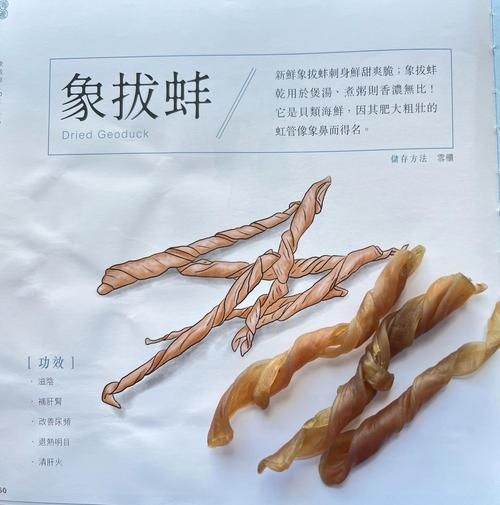 象拔蚌的营养价值及功效与作用_象拔蚌怎么吃最补-第3张图片-山城妙识