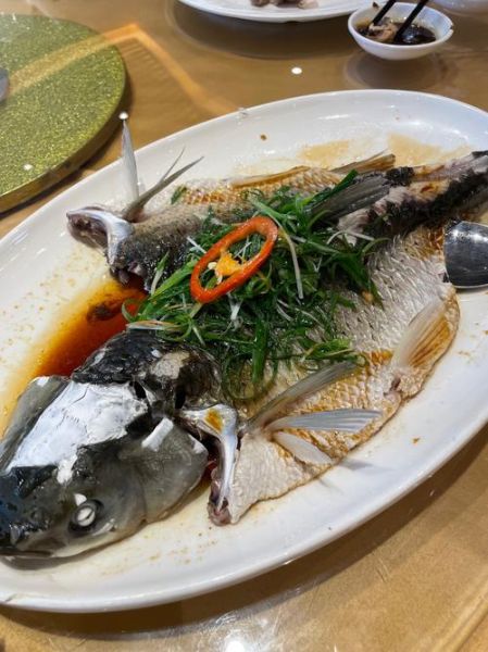 清蒸鮰鱼怎么做_清蒸鮰鱼蒸多久才鲜嫩-第1张图片-山城妙识 清蒸鮰鱼怎么做_清蒸鮰鱼蒸多久才鲜嫩-第1张图片-山城妙识