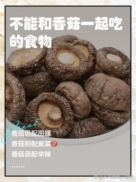 香菇不能和什么一起吃_香菇的禁忌人群有哪些-第2张图片-山城妙识