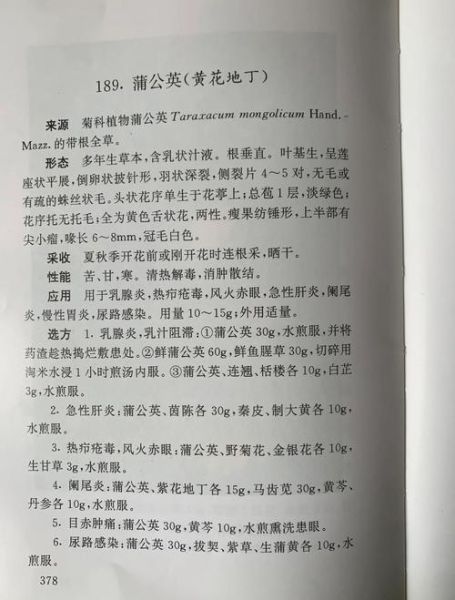 蒲公英能治痔疮吗_蒲公英治疗痔疮的方法-第2张图片-山城妙识