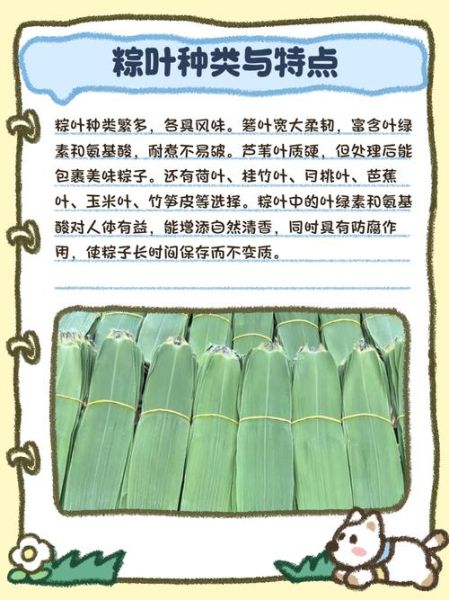 箸叶是什么_箸叶和粽叶的区别-第3张图片-山城妙识