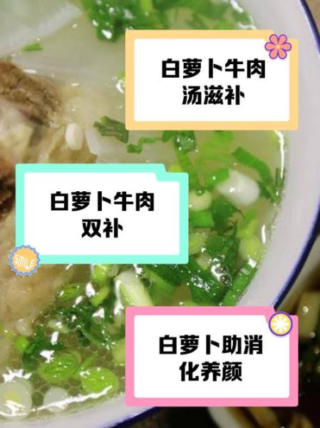 白萝卜炖牛肉汤怎么做_白萝卜炖牛肉汤的功效-第1张图片-山城妙识
